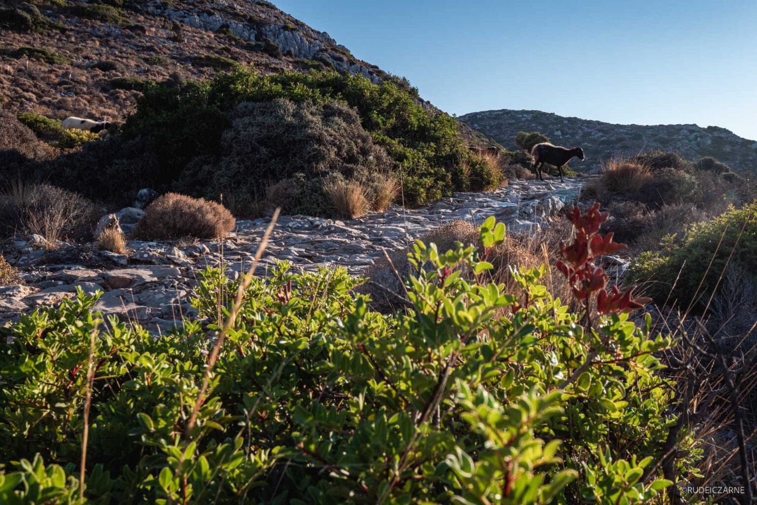 Kreta - co zobaczyć - najpiękniejsze atrakcje Krety • Rudeiczarne